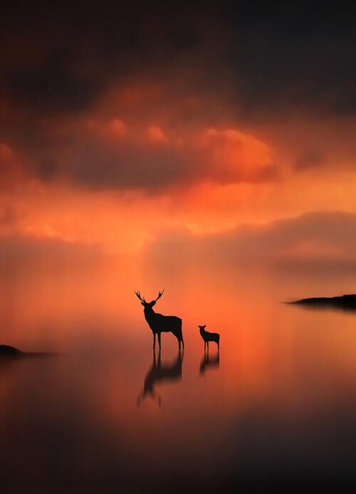 js的异步加载 | findmoon白色蜗牛